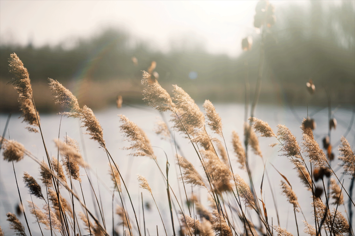 Wat kun jij doen voor de natuur? - Oudersenzo